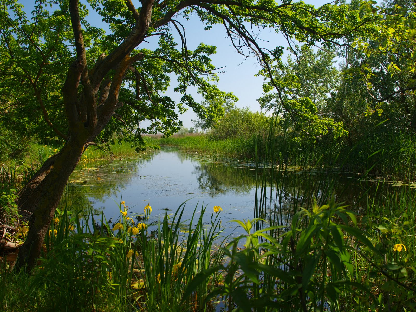 Danube Delta - Enjoy Romania