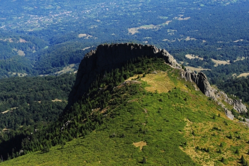 Mogosa - Enjoy Romania